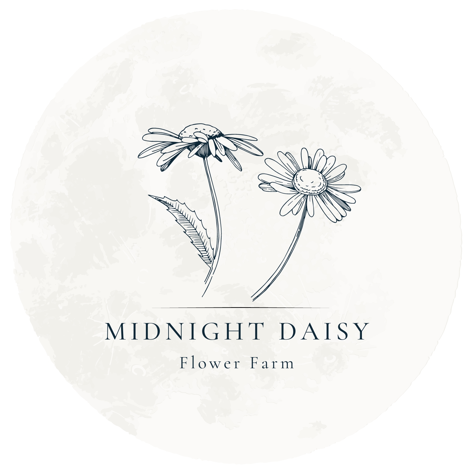 midnight-daisy-logo – Midnight Daisy Flower Farm